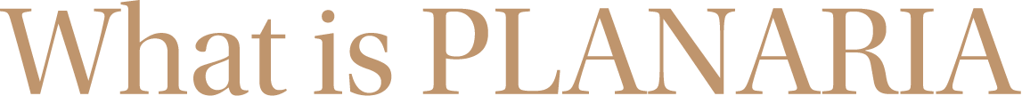 PLANARIA OFFICIALホームページ